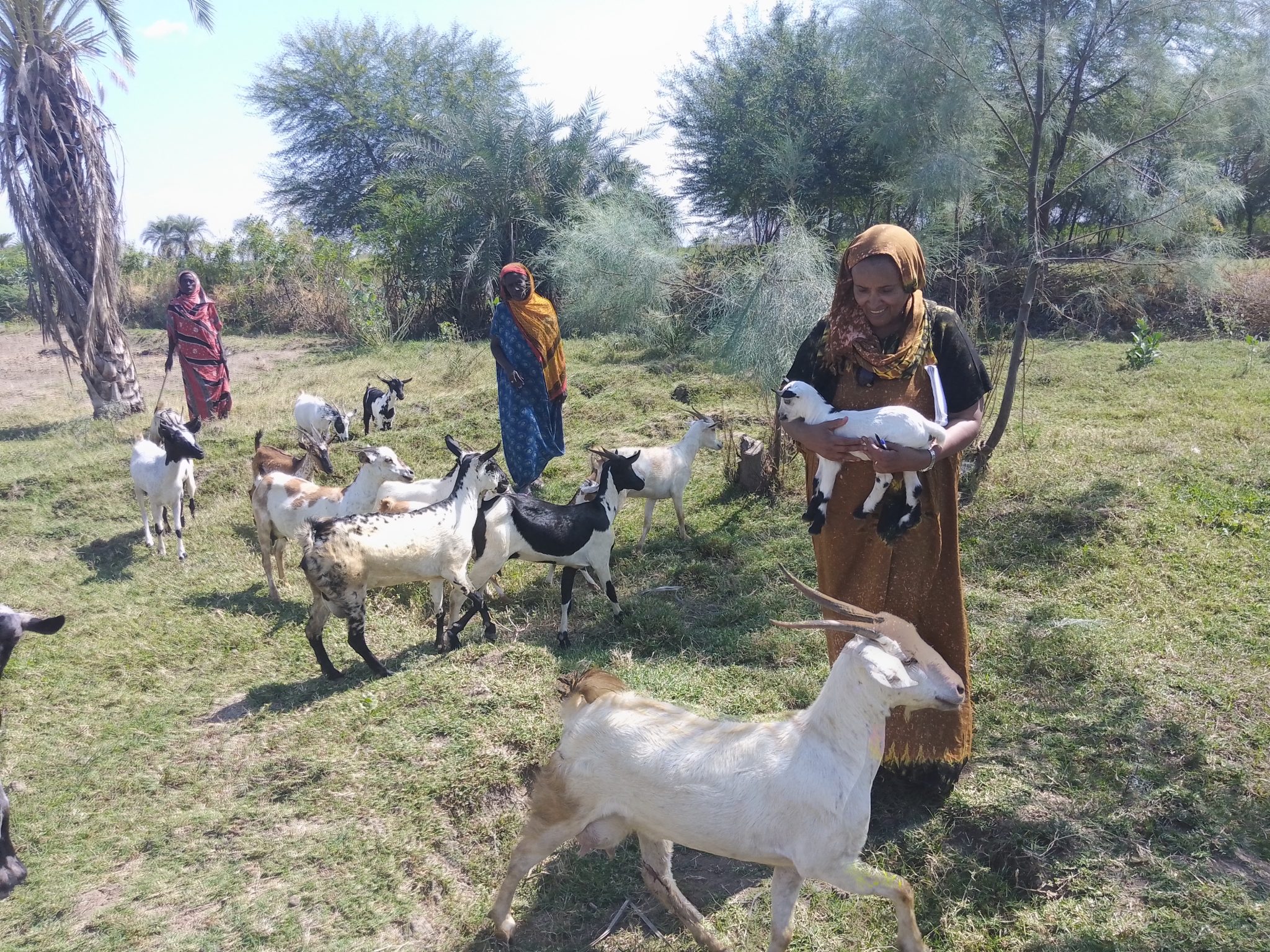 ECSC-SUN secretariat conducted visit to Afar - ECSC-SUN